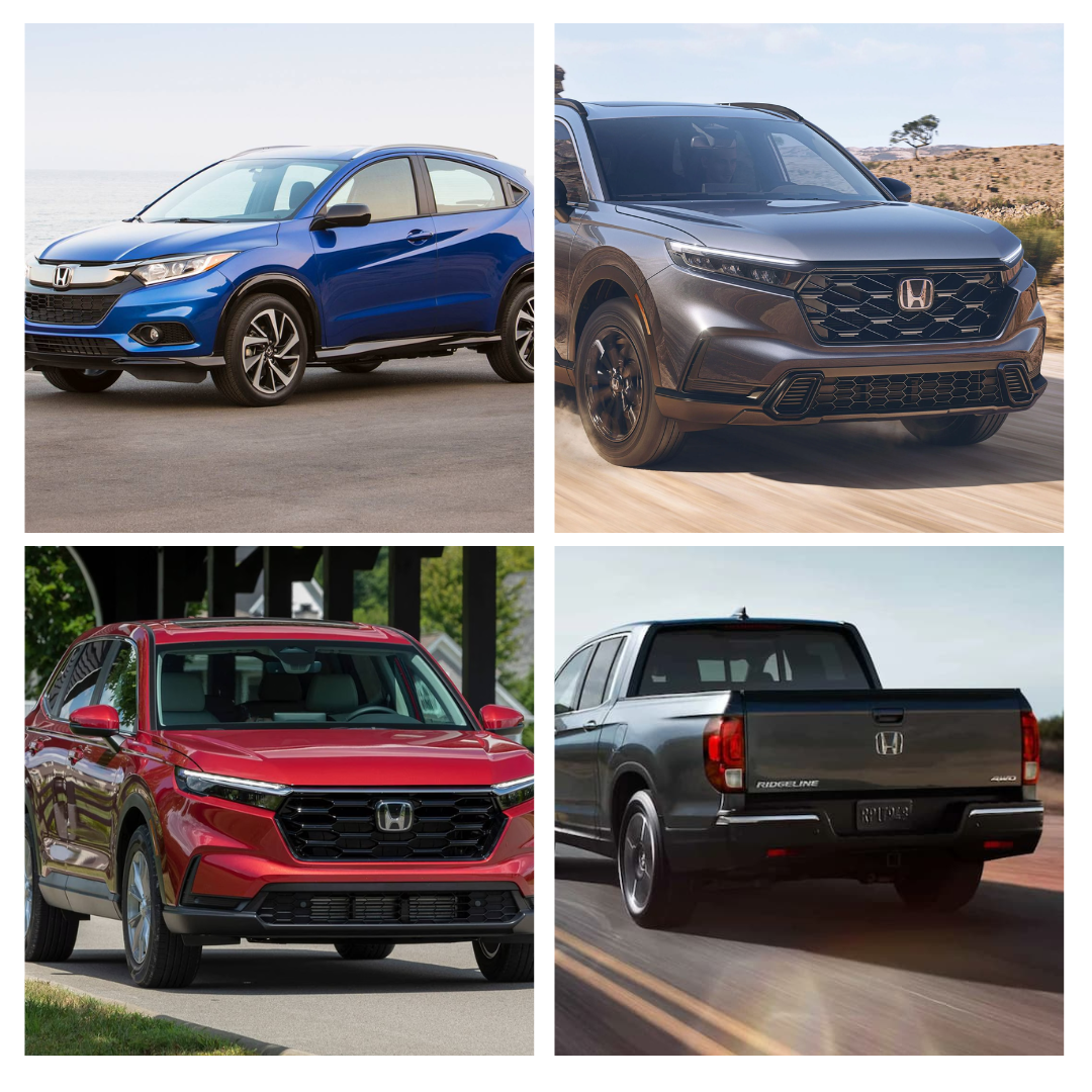 Riding in Style: The Impact of Lifestyle and Preferences on Car Ownership